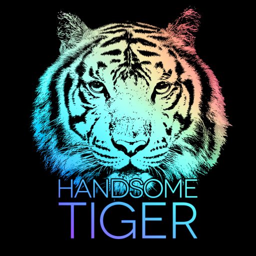 HANDSOME TIGER | Vancouver-based DJ/Producer