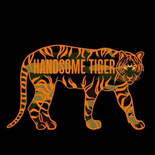 HANDSOME TIGER | Vancouver-based DJ/Producer
